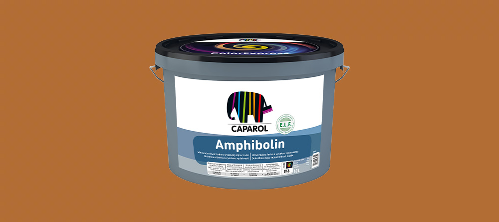 Trend 2024 - Modne kolory w najlepszym wydaniu!